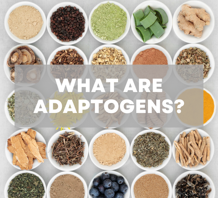 What Are Adaptogens and Do They Work? – Admiral HB